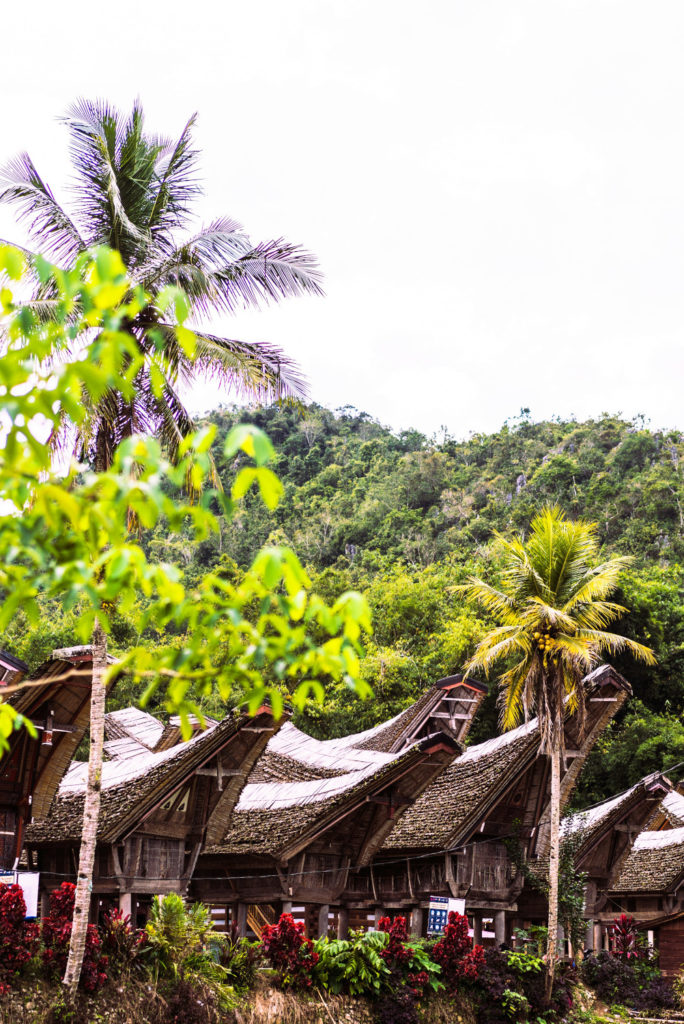 The mummies of the Toraja people, Sulawesi - Fontegaia Tour