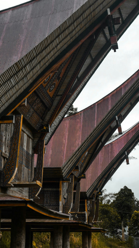 The mummies of the Toraja people, Sulawesi - Fontegaia Tour